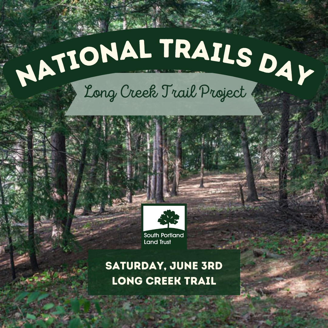 National Trails Day: Long Creek Trail Project — South Portland Land Trust