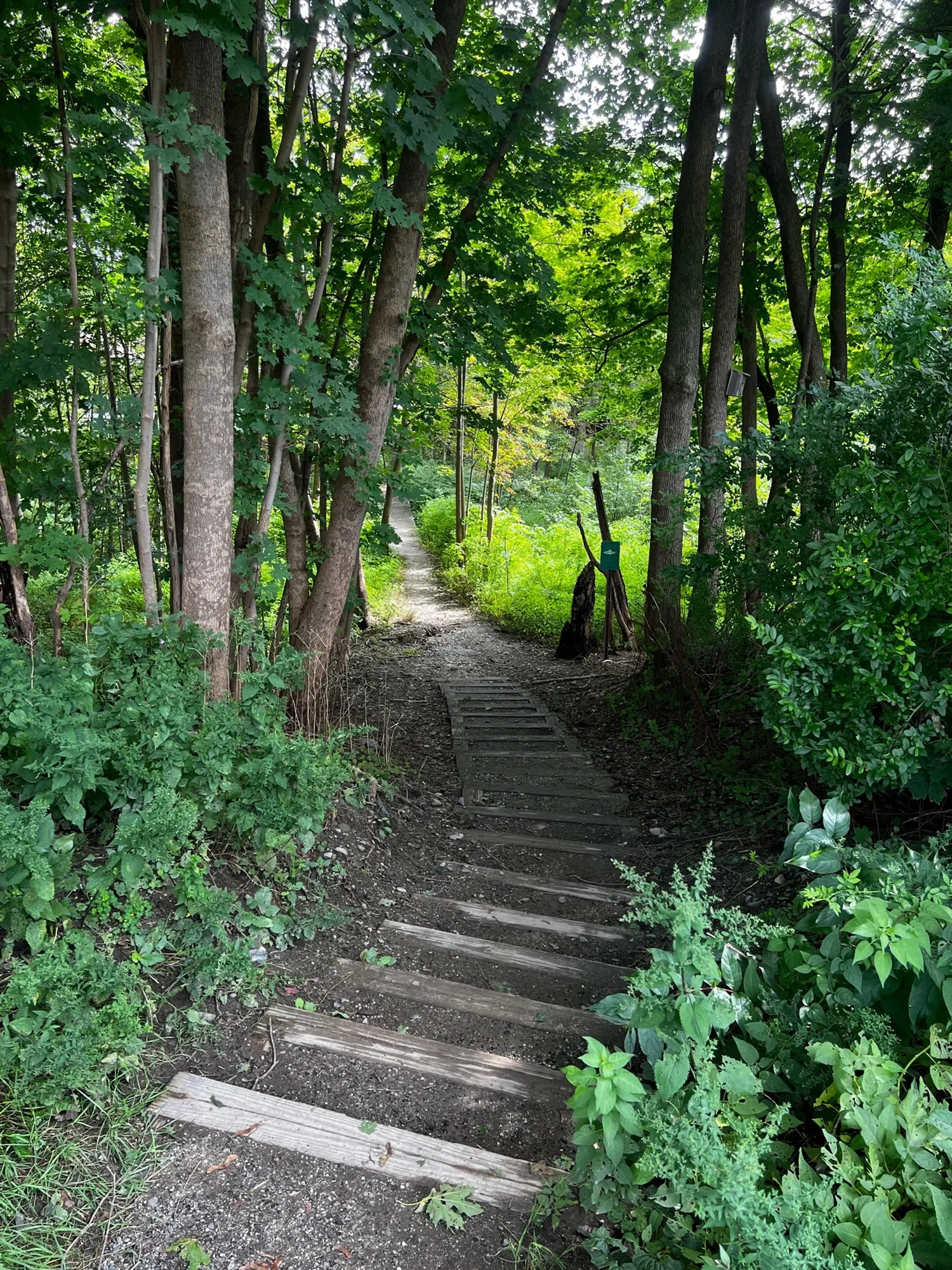 Trails — South Portland Land Trust