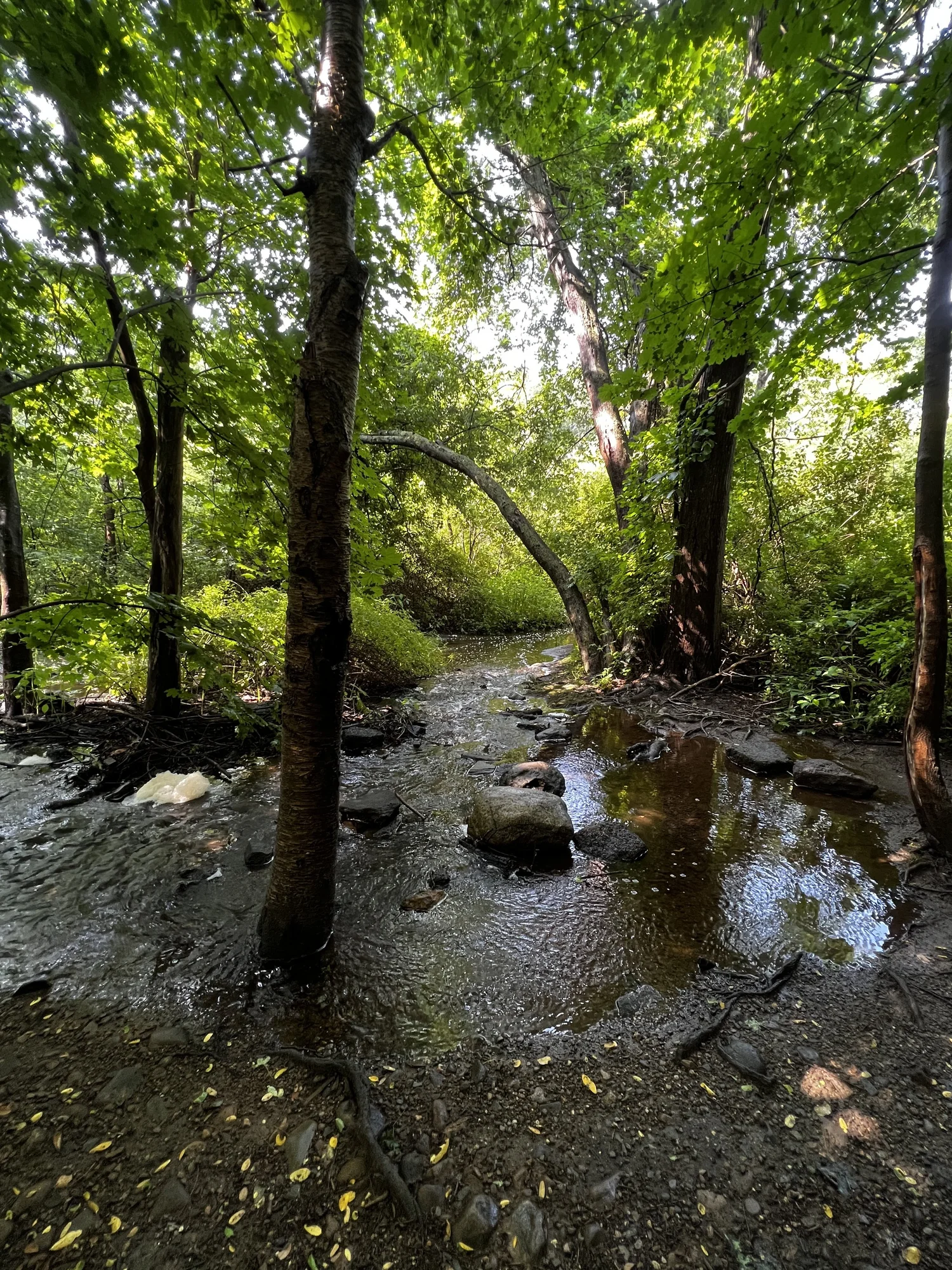 Trails — South Portland Land Trust