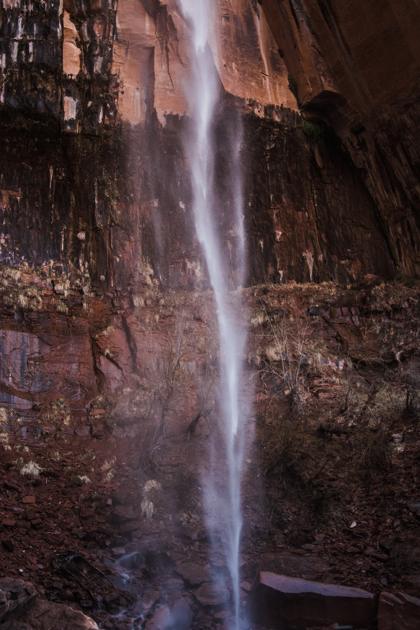 Zion / Grand Canyon / Phoenix ~ Spring Break 2018 — SS Photography & Design