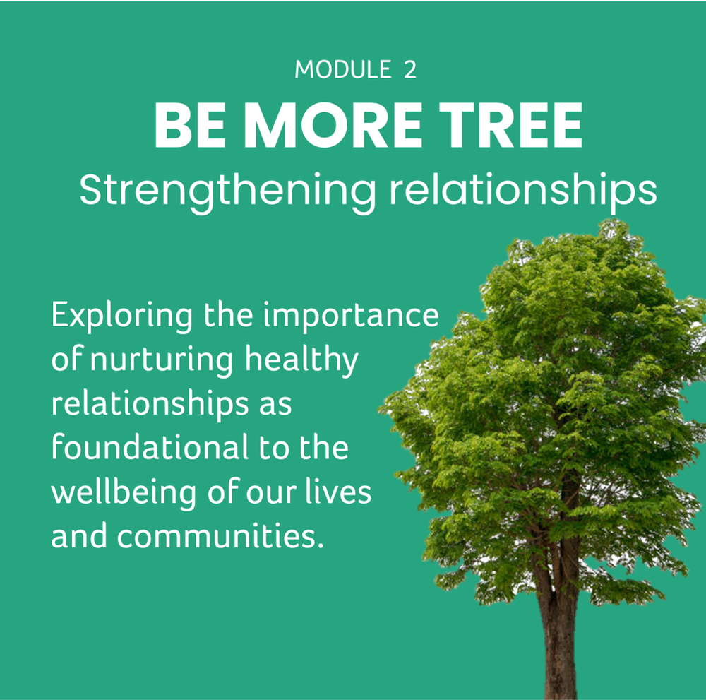 Leadership Course — ThoughtBox Education