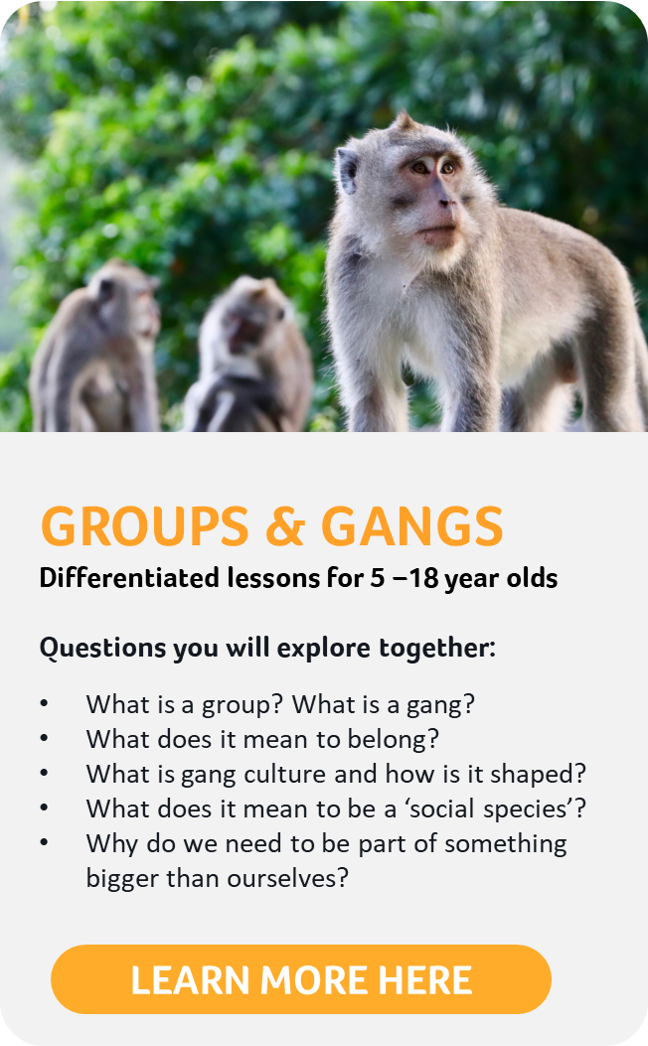 Classroom Resources — ThoughtBox Education