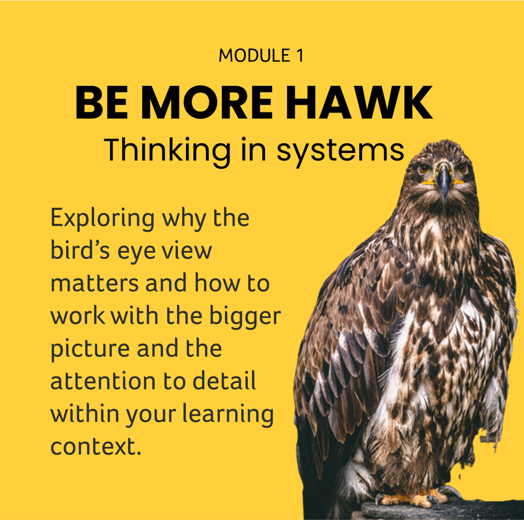 Leadership Course — ThoughtBox Education