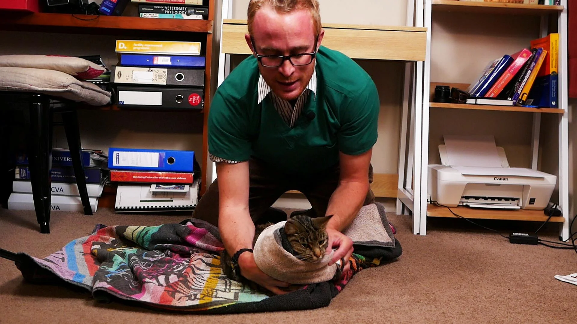 Kitty Burrito: Ninja Towel Wrap to Control Your Cat! (step by step ...