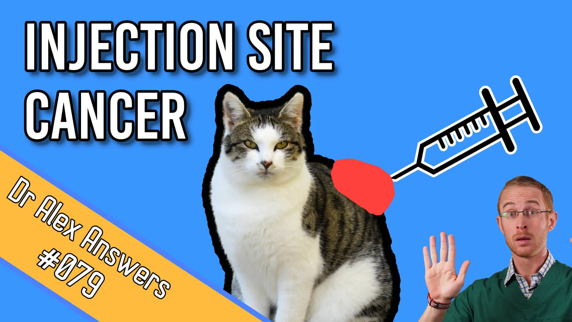 Cat Injection Site Sarcoma: the Risks, Treatment + Prognosis of this ...
