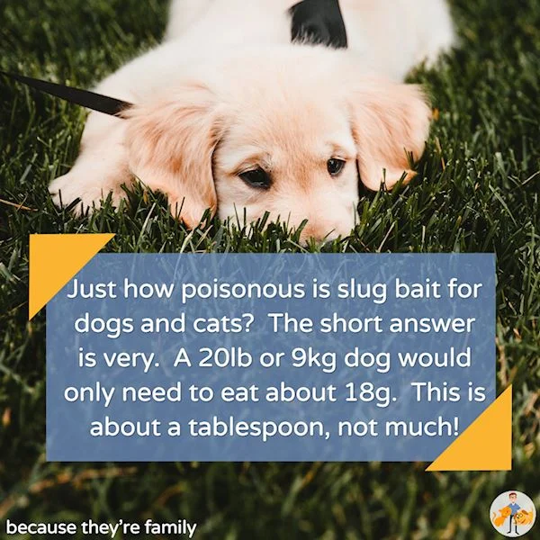 Slug and Snail Bait Poisoning: shake + bake your dog — Our Pet's Health