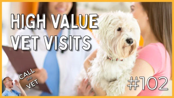 Call the Vet — Our Pet's Health