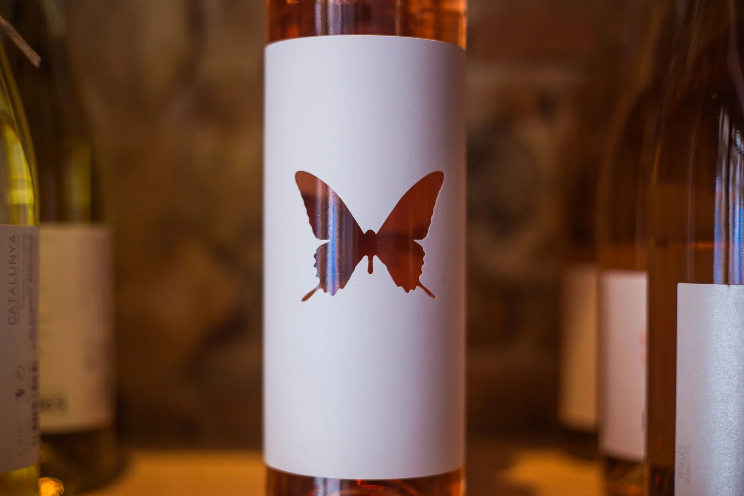 Barcelona Wine Tasting & Vineyard Tours — Salut Wine Studio