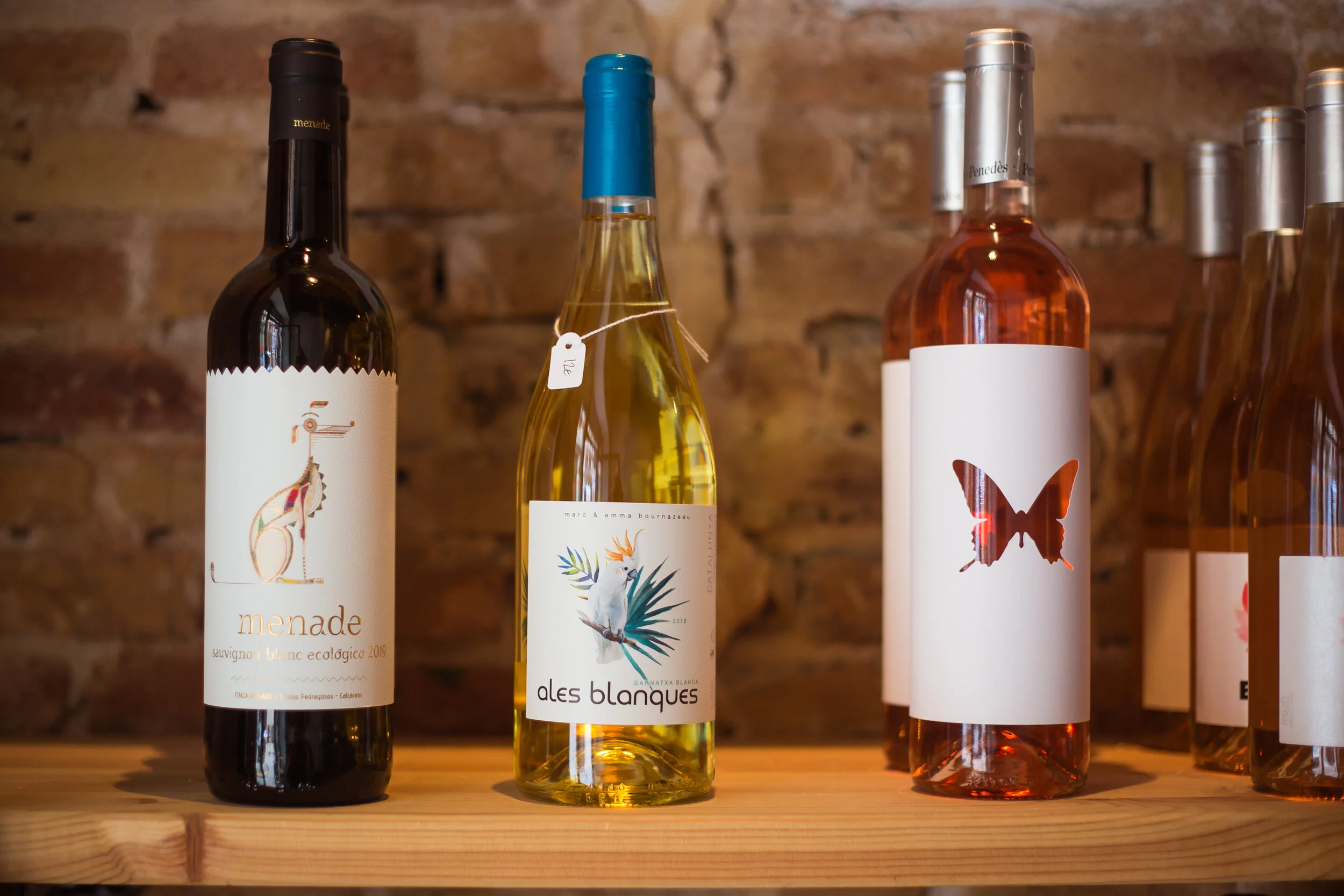 Barcelona Wine Tasting & Vineyard Tours — Salut Wine Studio