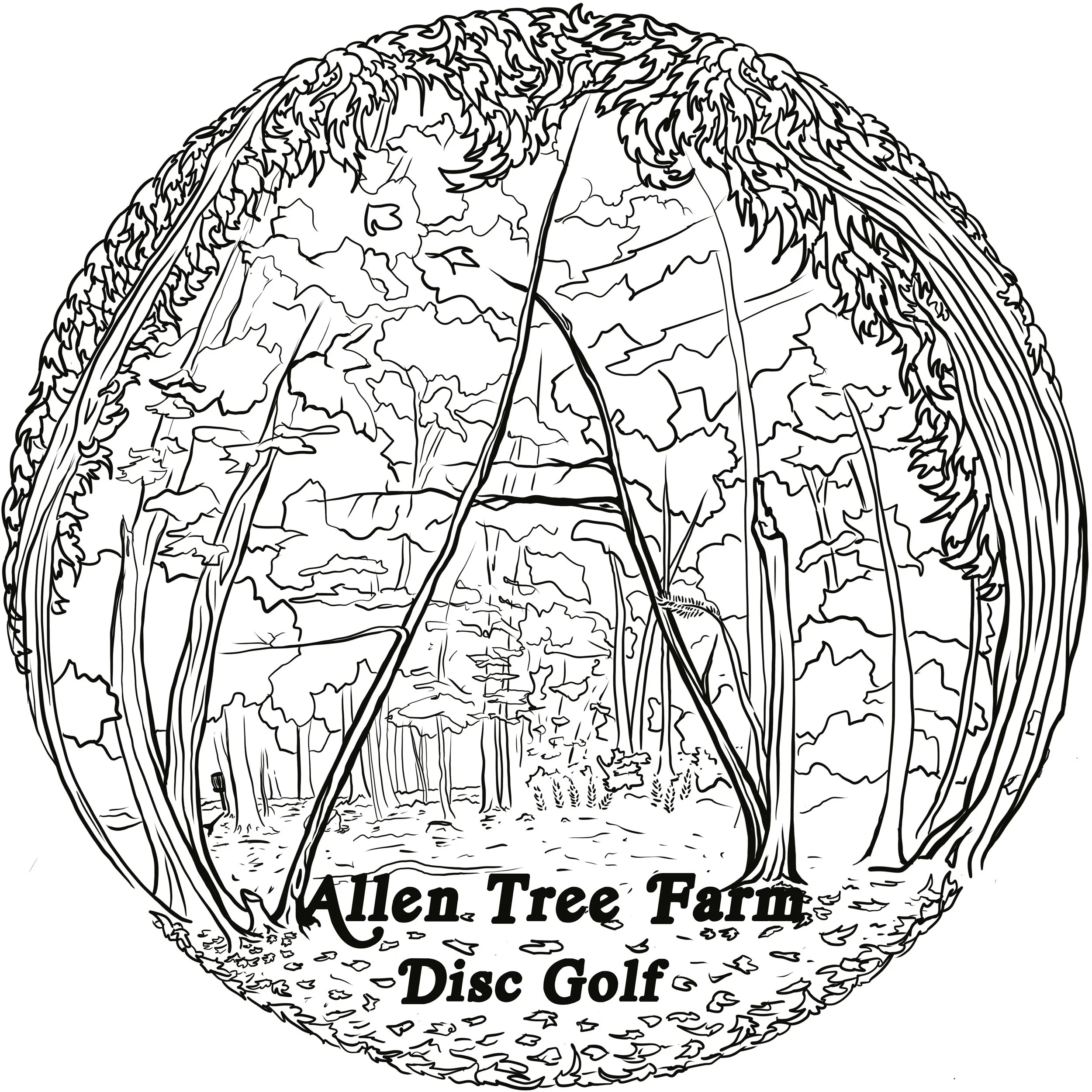 Disc Golf Shop — Allen Tree Farm