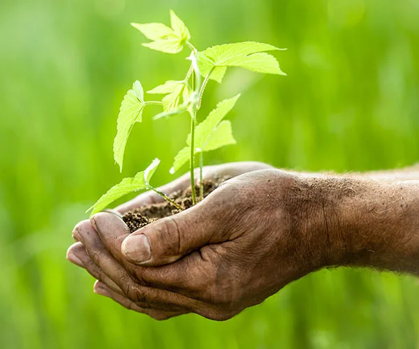 Poverty in Canada — Canadian Poverty Institute