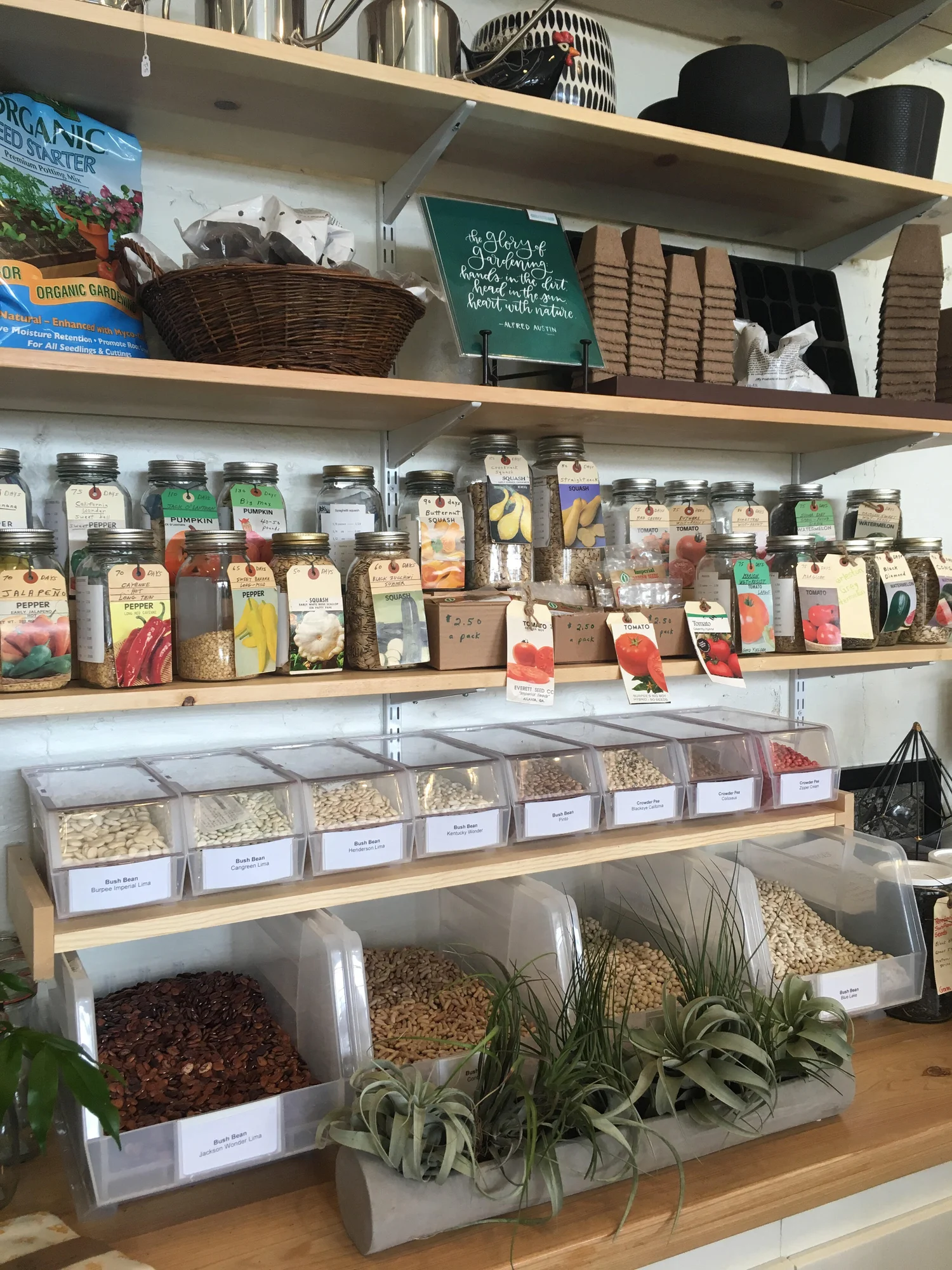 City Seed at the Station