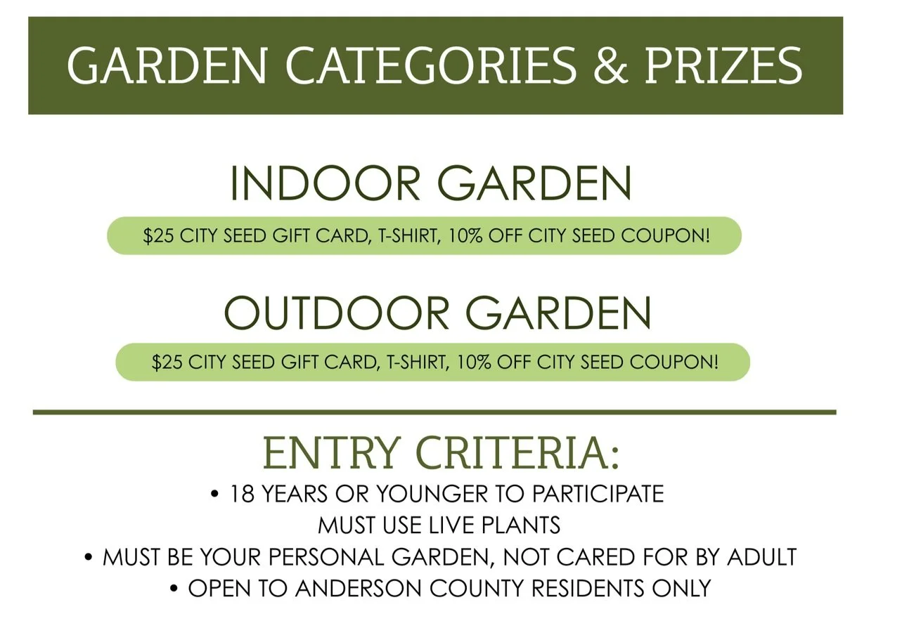 Garden Competition — City Seed at the Station
