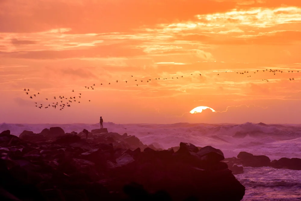 TIM DURKAN: The Pretty and the Positive — GALLERY MACK