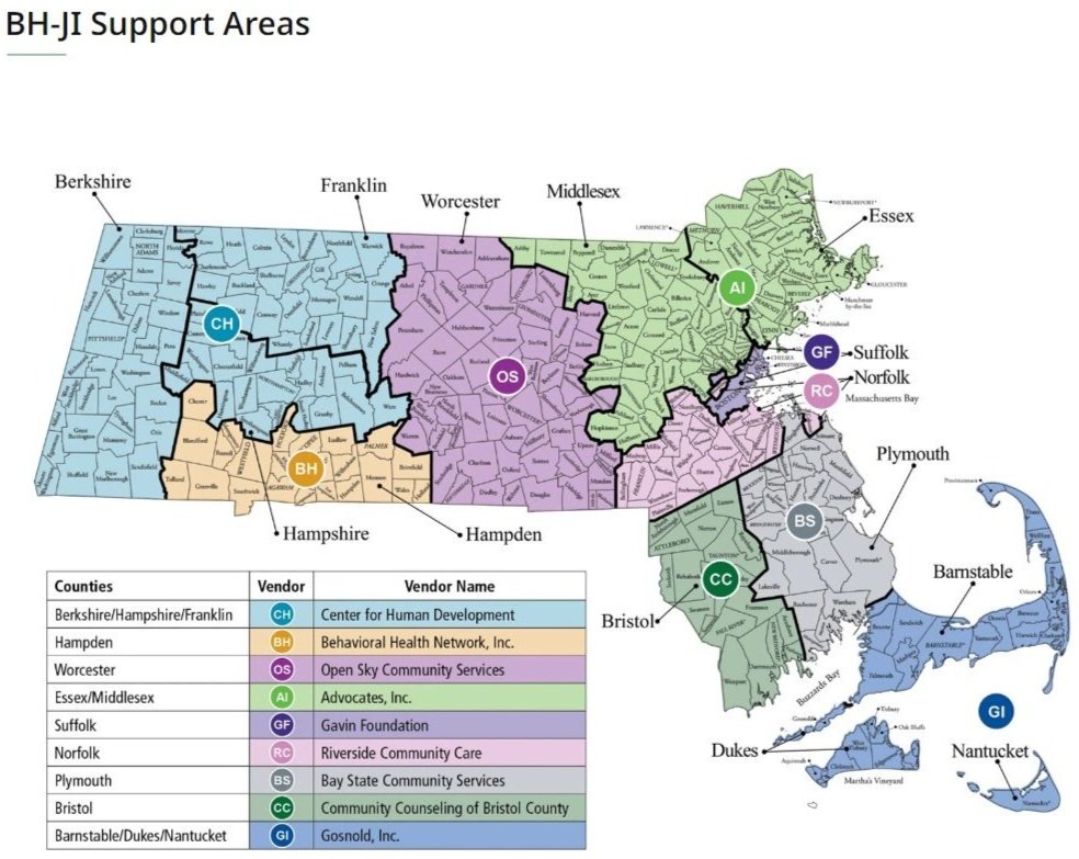 State & Local Resources — Metro Boston CIT TTAC