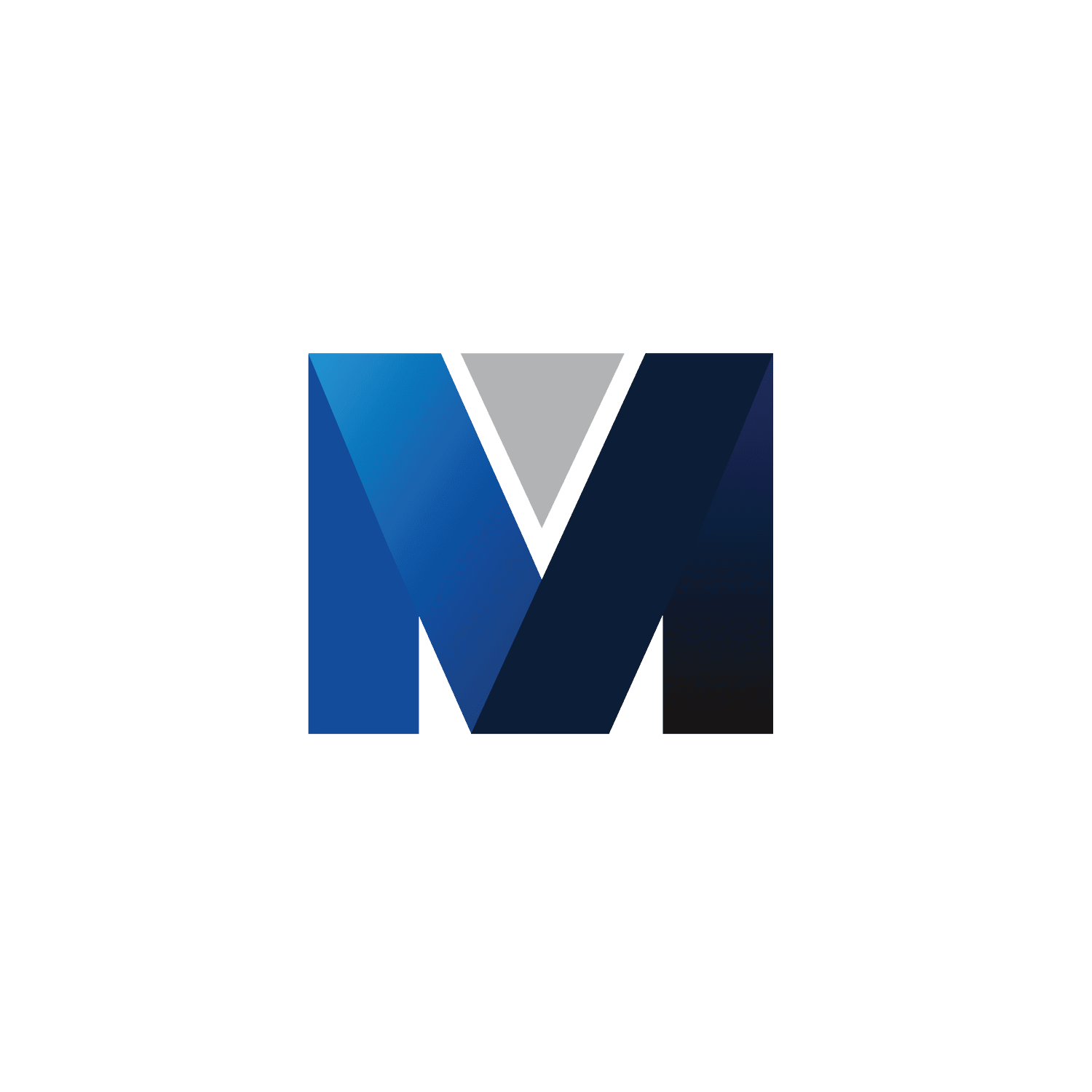 THE MAXUS GROUP