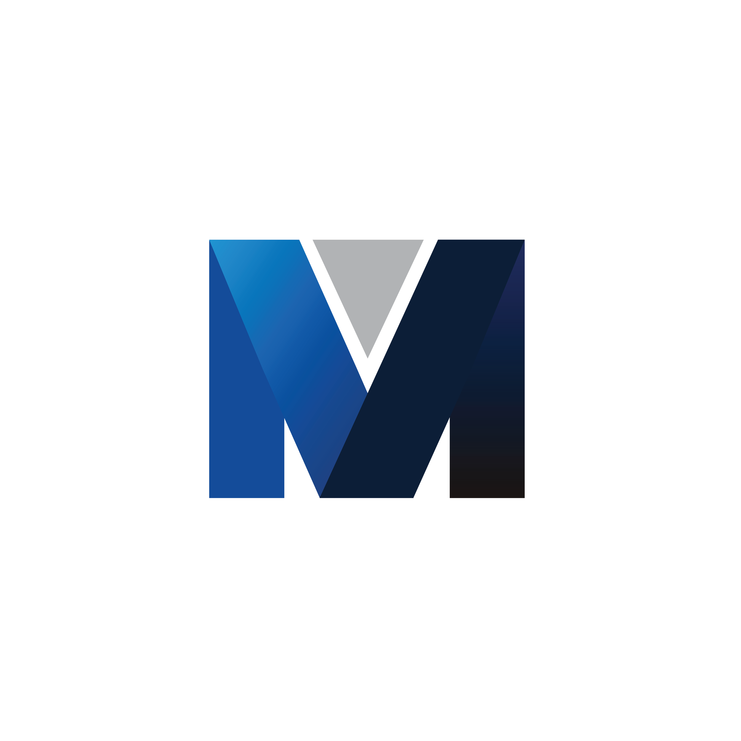 THE MAXUS GROUP