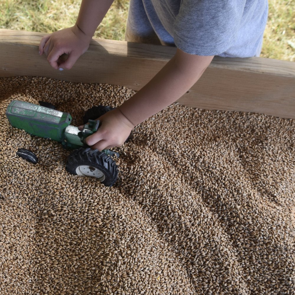 fun — carl laidlaw orchards