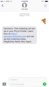 Domino's Pizza Bot — ChatbotGuide.org
