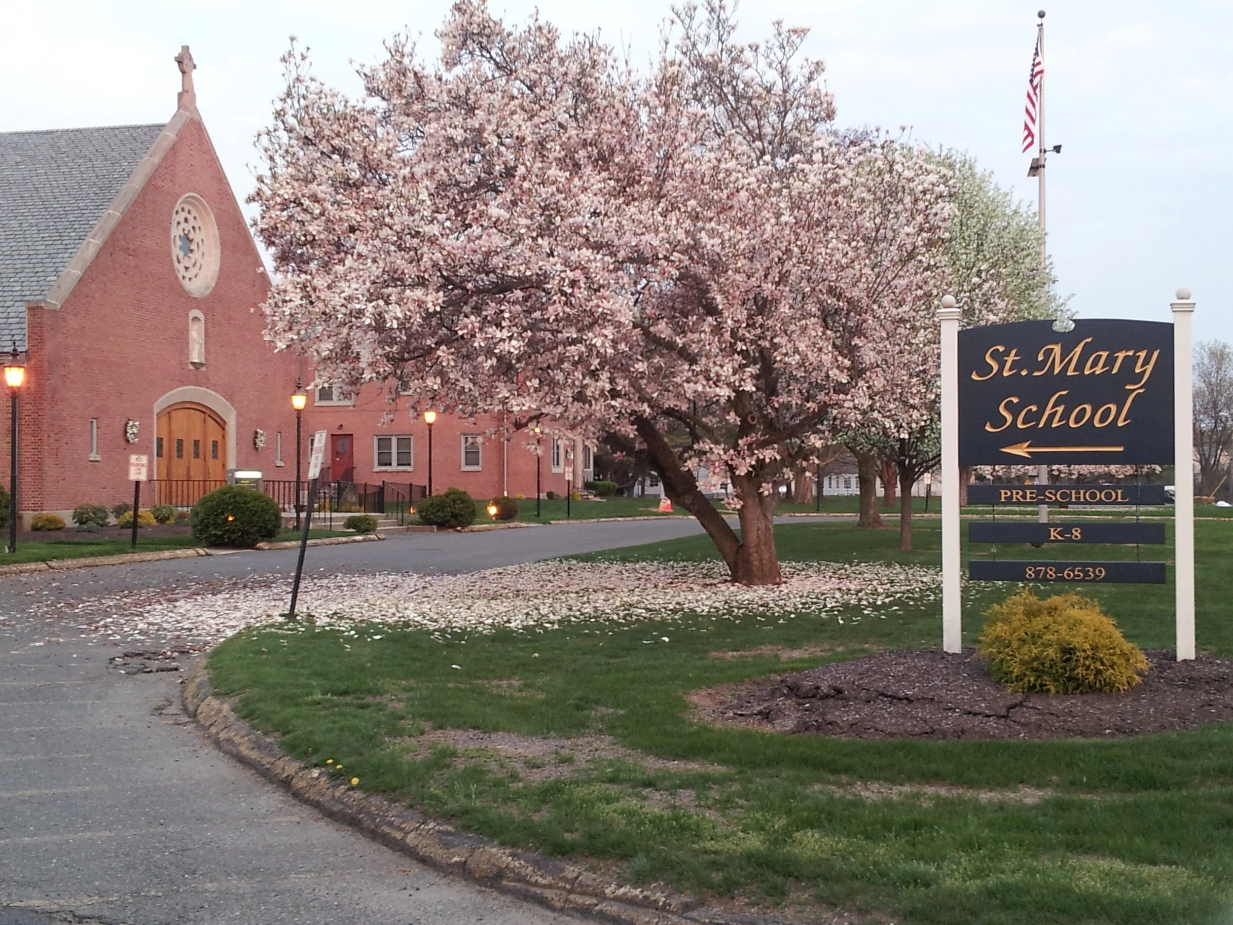 Contact — Saint Mary School