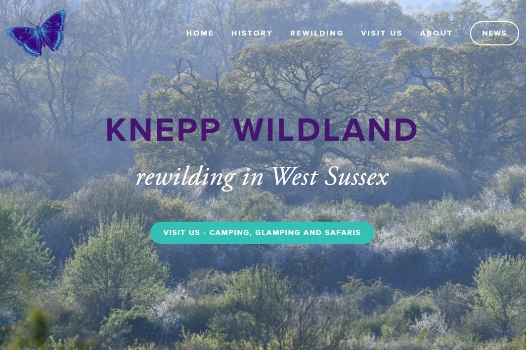 Knepp Castle Estate
