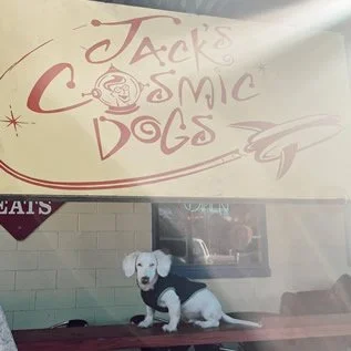 Jack's Cosmic Dogs