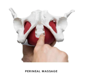 Perineal Scar Massage And Stretching Before Labor Expecting And Empowered
