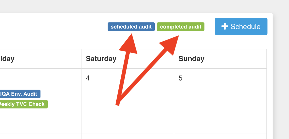 Schedule Audits in the Calendar — MEG