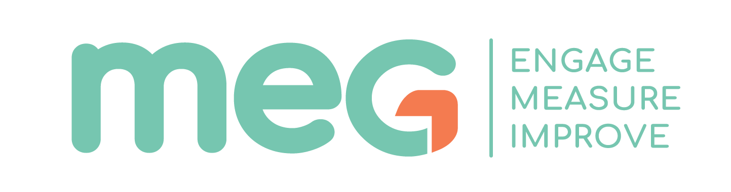 Implementing a Digital System for IPC Audit Management — MEG