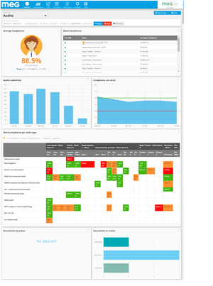 Transforming Quality Auditing at King's College Hospital — MEG
