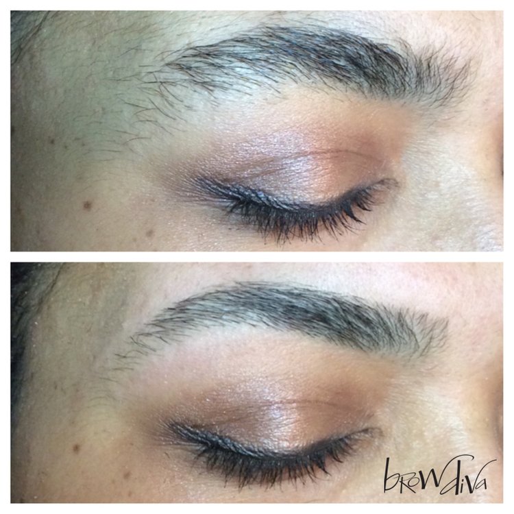 Brow Sculpting Before & After Gallery | Brow Diva