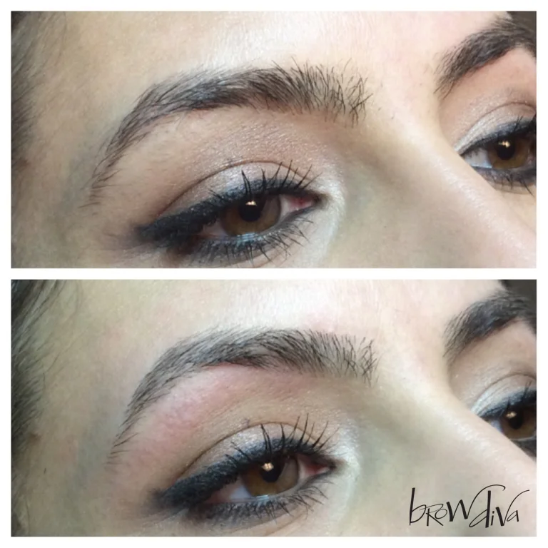 Brow Sculpting Before & After Gallery | Brow Diva