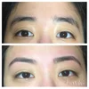 Transforming The Perfect Brow Shape — Brow Diva