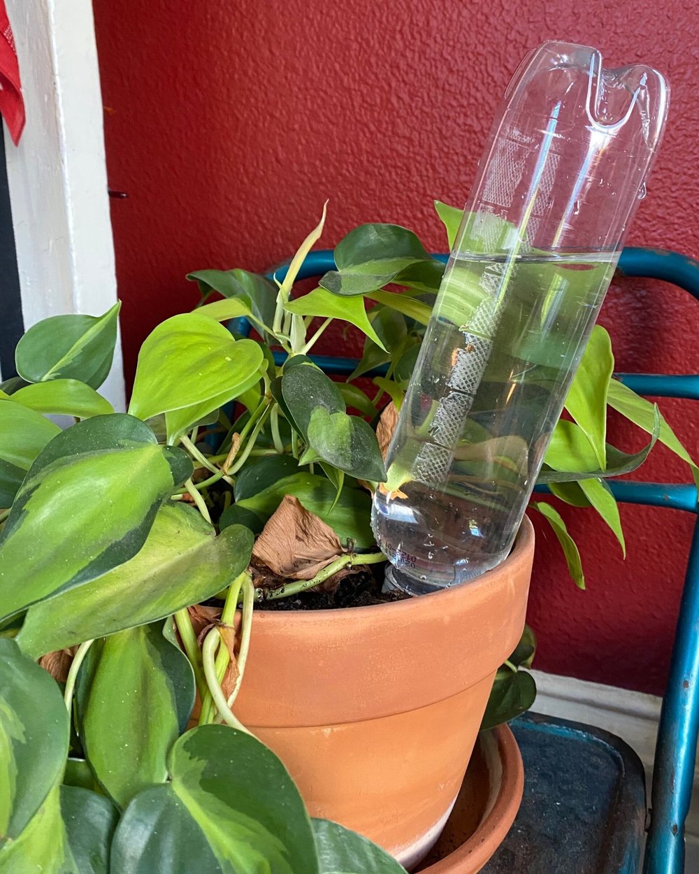 8 Easy Garden Hacks to Make Sure you Optimize your Harvest — Clean ...