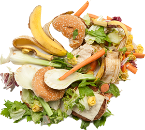 Residential Services — Larchmont - Mamaroneck Sanitation Commission