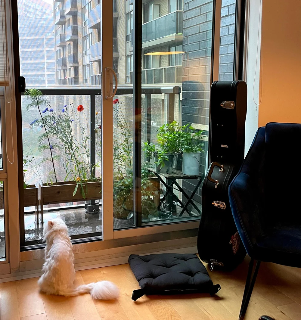 7 Wonders of Susan Yoon's World — THE NEEDLE AND THE KNIFE