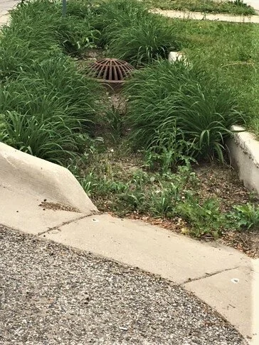 Lower Grand River Organization of Watersheds Rainscaping for Business