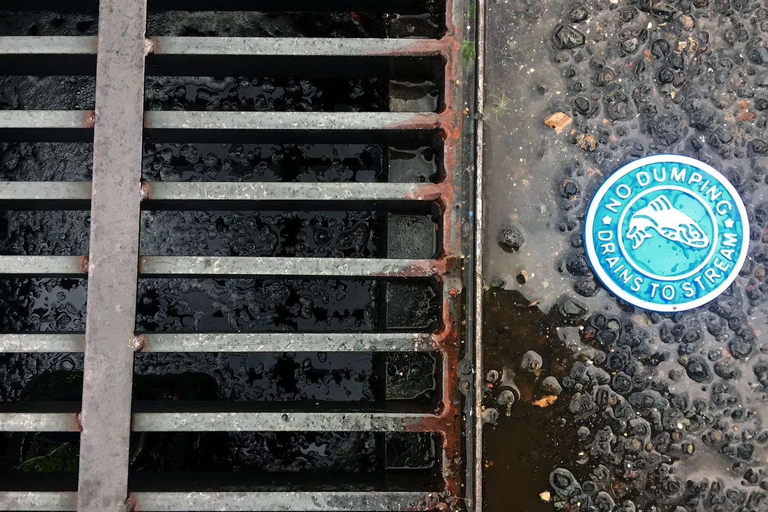 Current Priorities — Rogue Riverkeeper