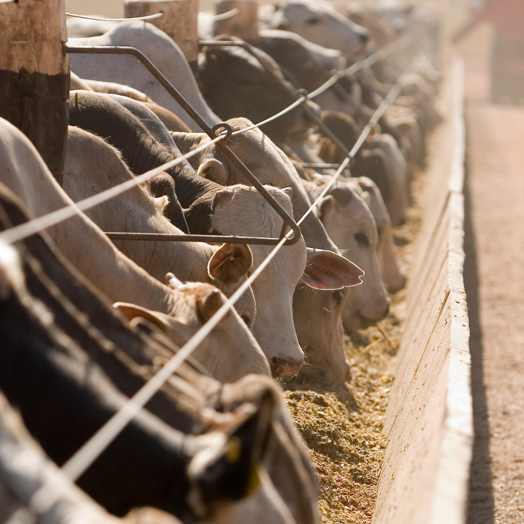 2023 Oregon Legislative Updates — Rogue Riverkeeper