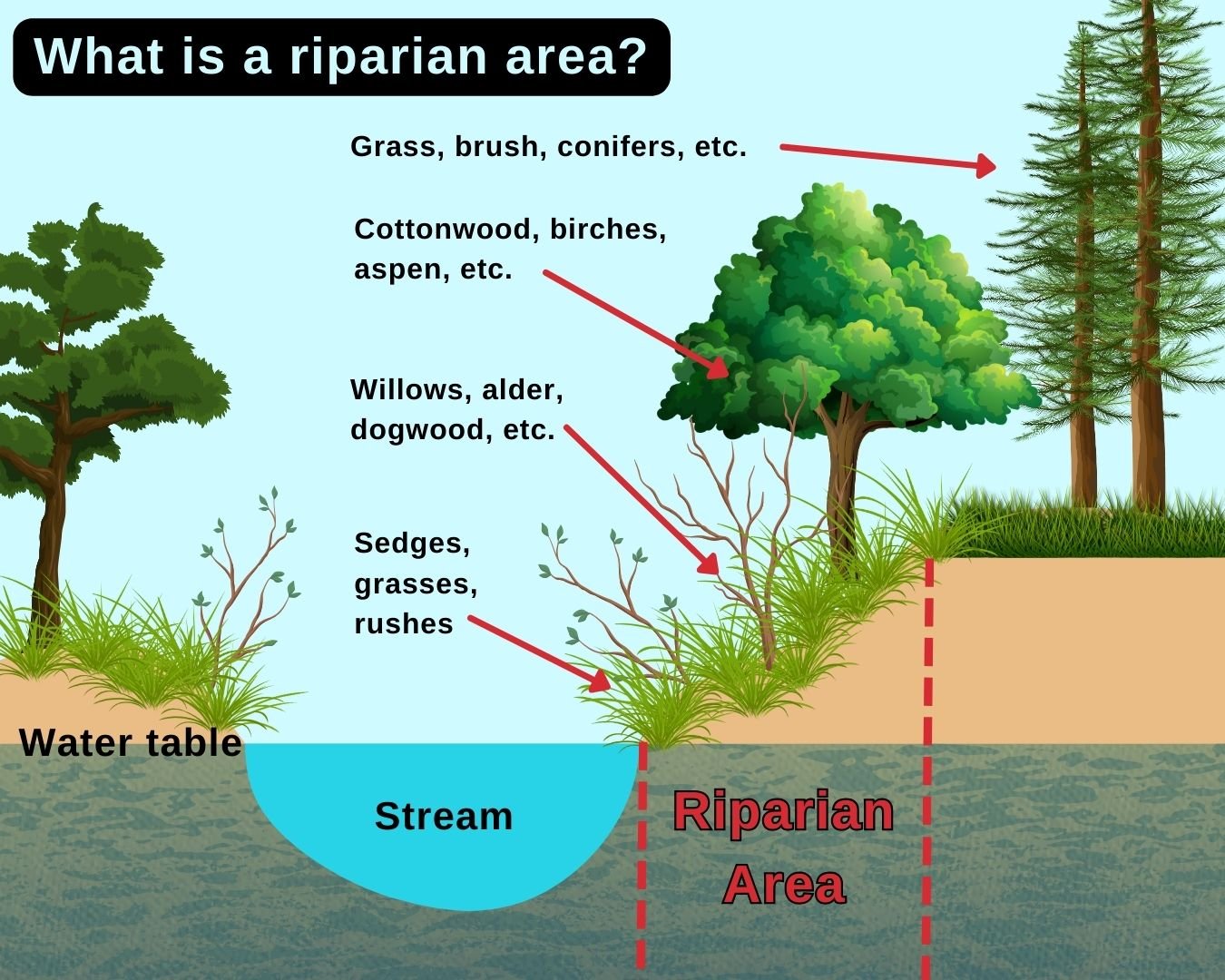 Protection of Riparian Habitats Offers Some of Our Best Chances to ...