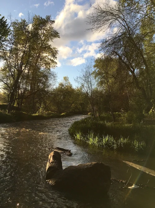 Protection of Riparian Habitats Offers Some of Our Best Chances to ...