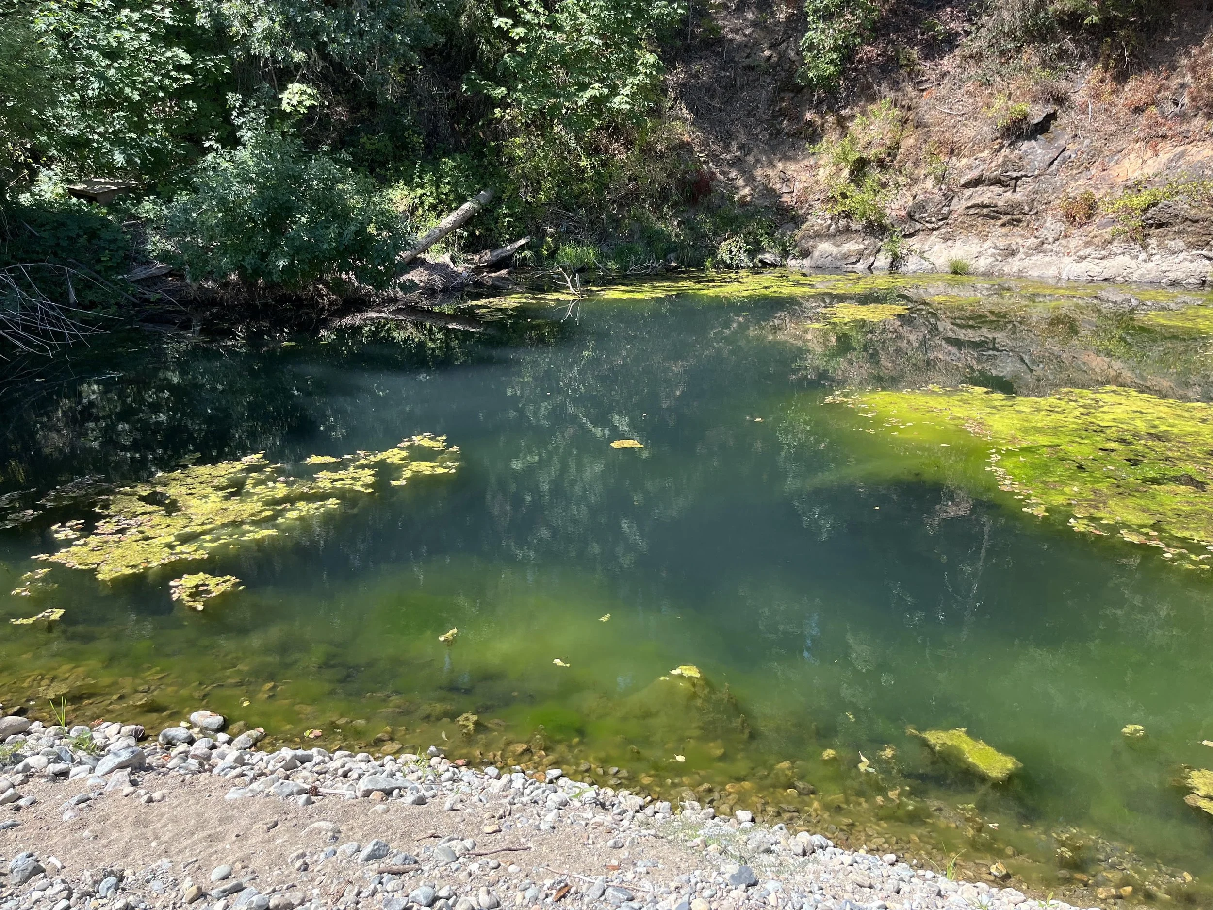 Dry Winters Affect Summer Water Quality — Rogue Riverkeeper