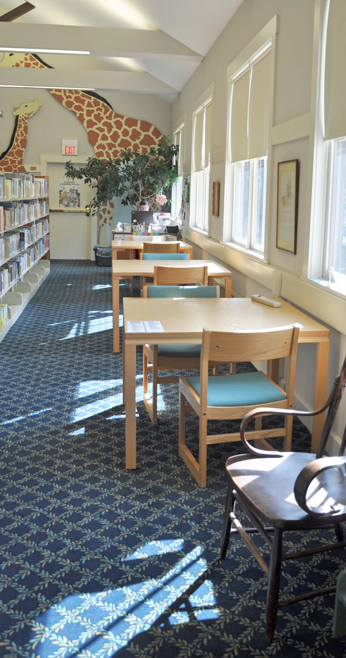 About Us + History — Bushnell-Sage Library