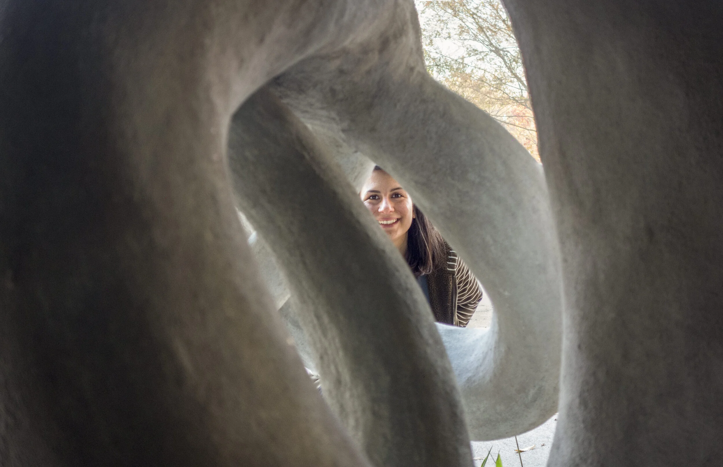 Board and History — ALVAN