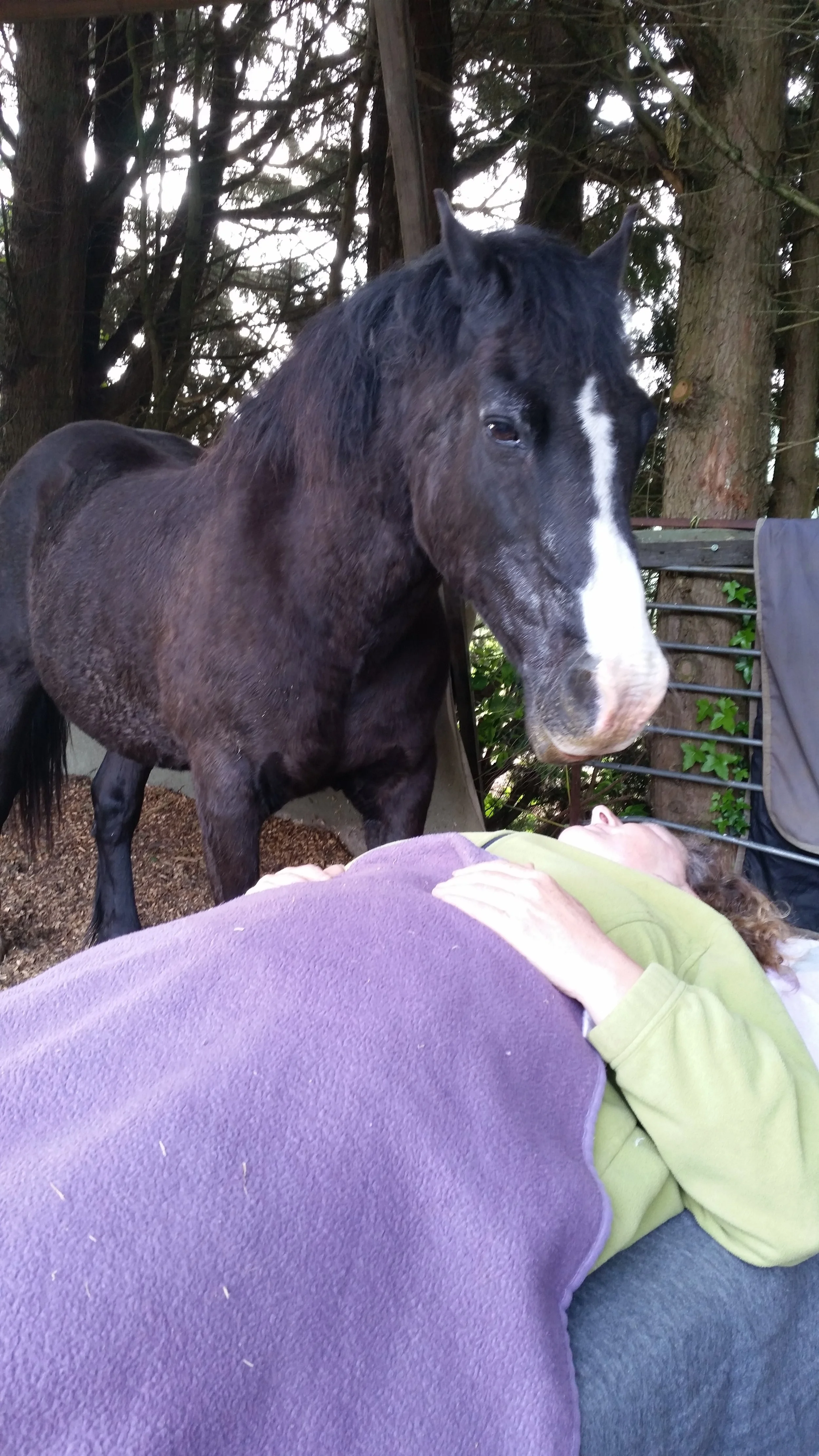 My Offerings — Dance with Equus