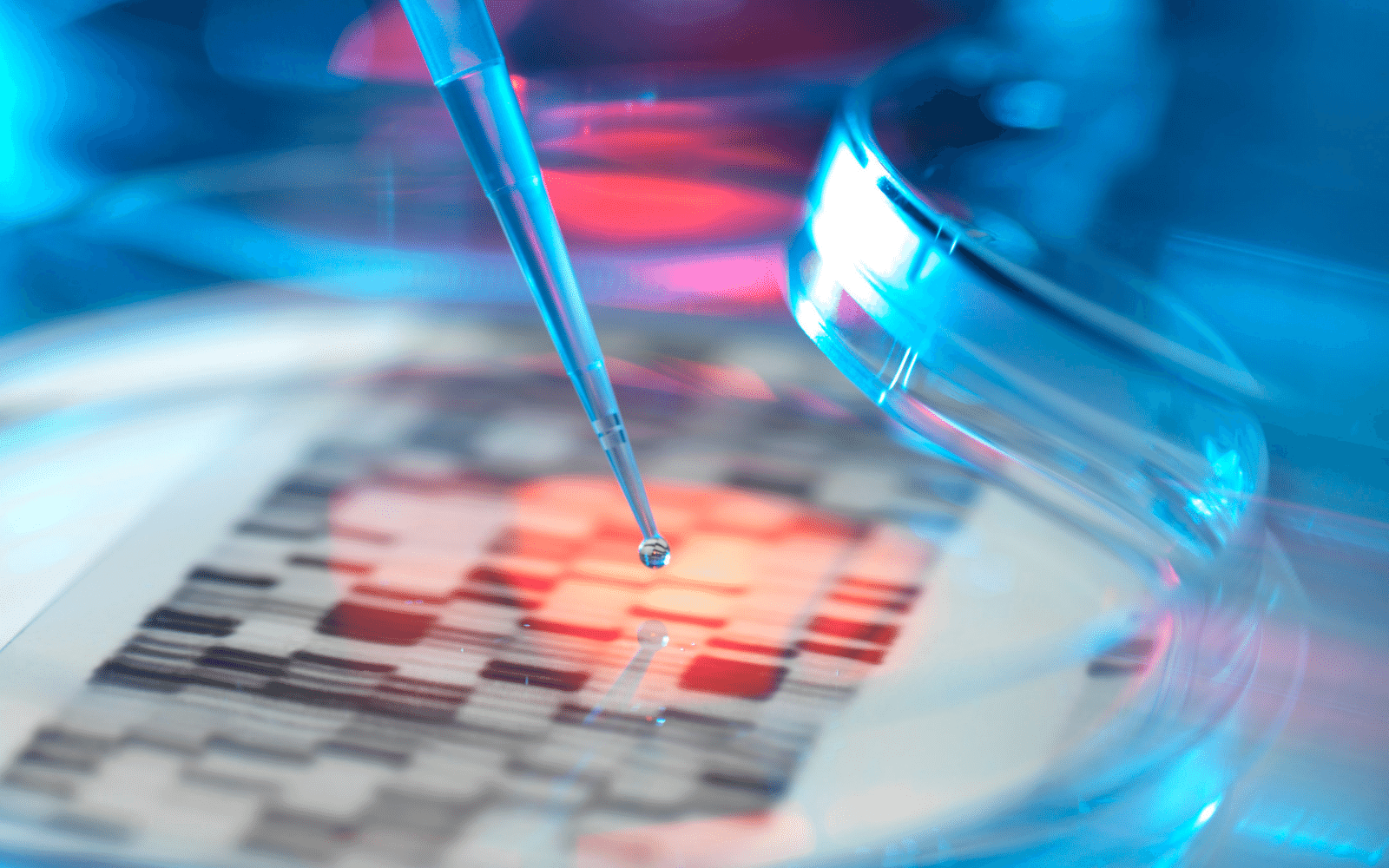 Your genetics hold valuable insight into your response to diet ...