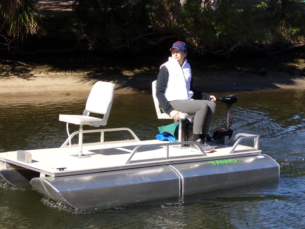 TAVO P-2 Transformer — TAVO