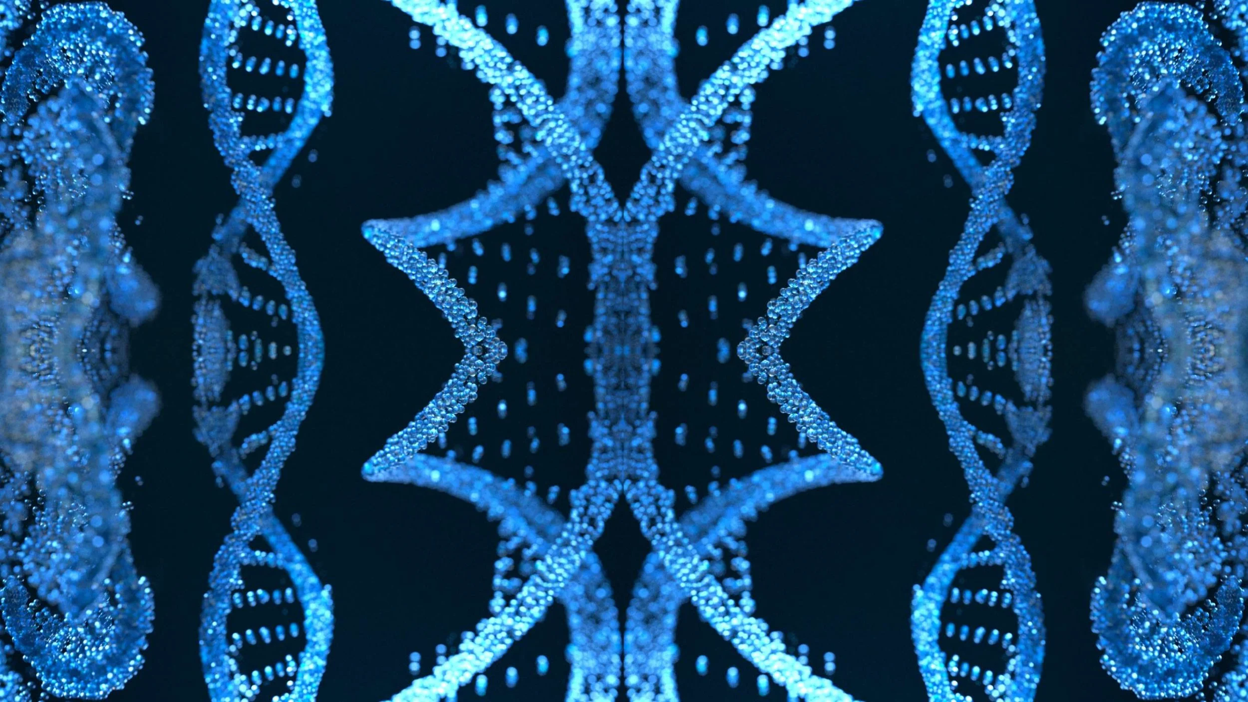 Kaleida — Brian Drucker