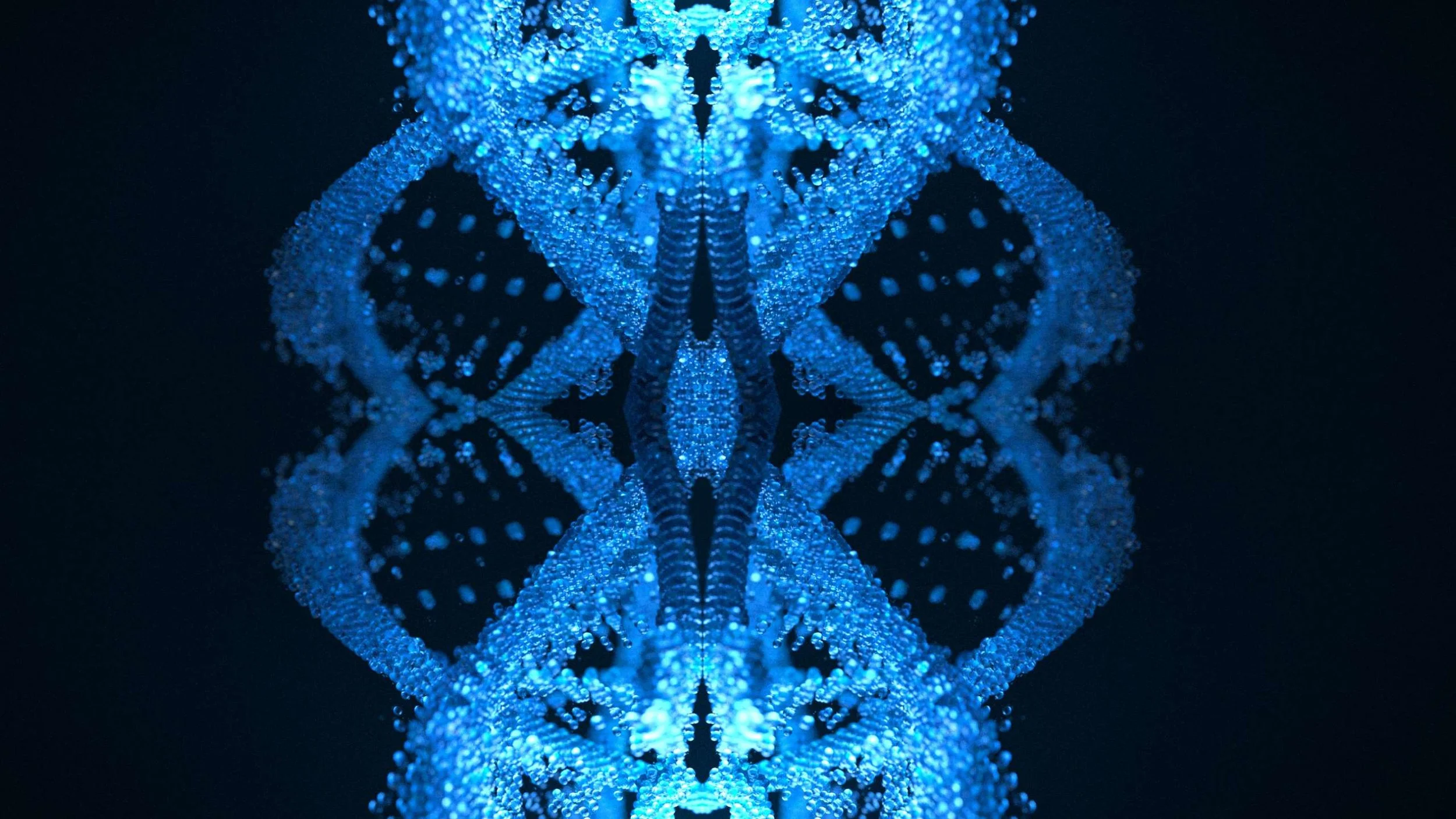 Kaleida — Brian Drucker