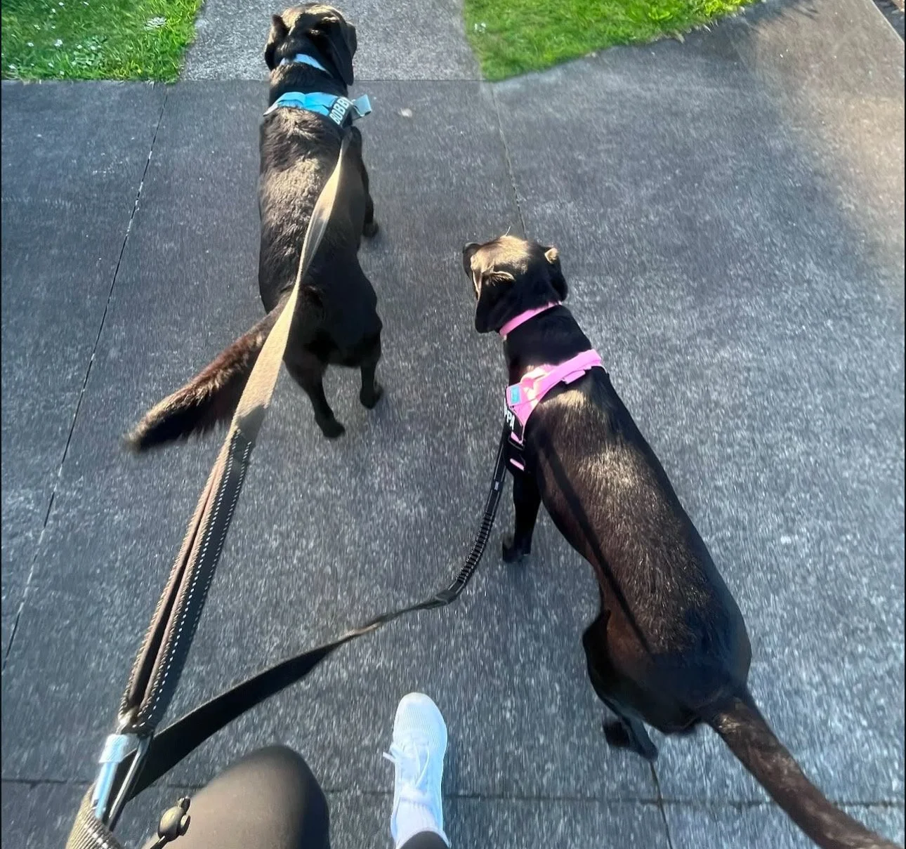 People Passion 2024 Culture Calendar — People Passion